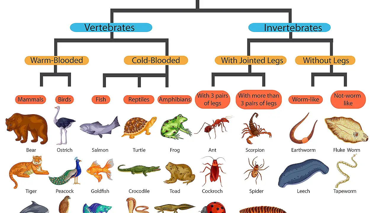 Microsoft Purview: Expert AI-Powered Data Classification Guide