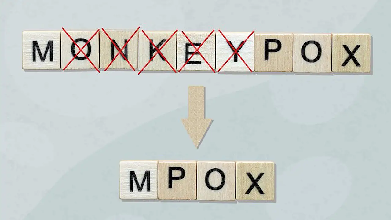Power Apps Building A Naming Refactoring Tool For Power Apps